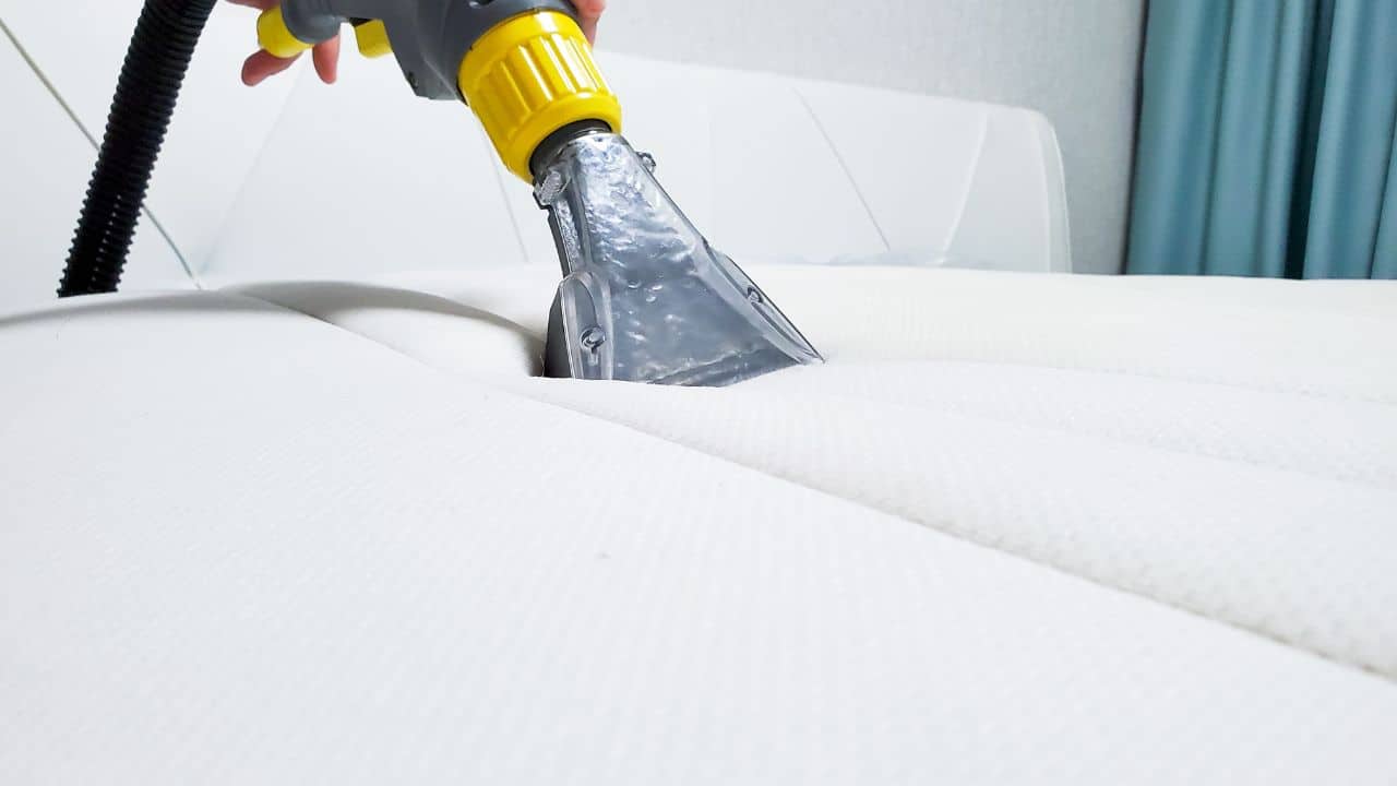 Mattress Cleaning Service Singapore | Pro Handyman - Clean, Fresh ...